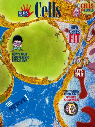 Peek Inside 6 Issues of Kids Discover - Kids Discover