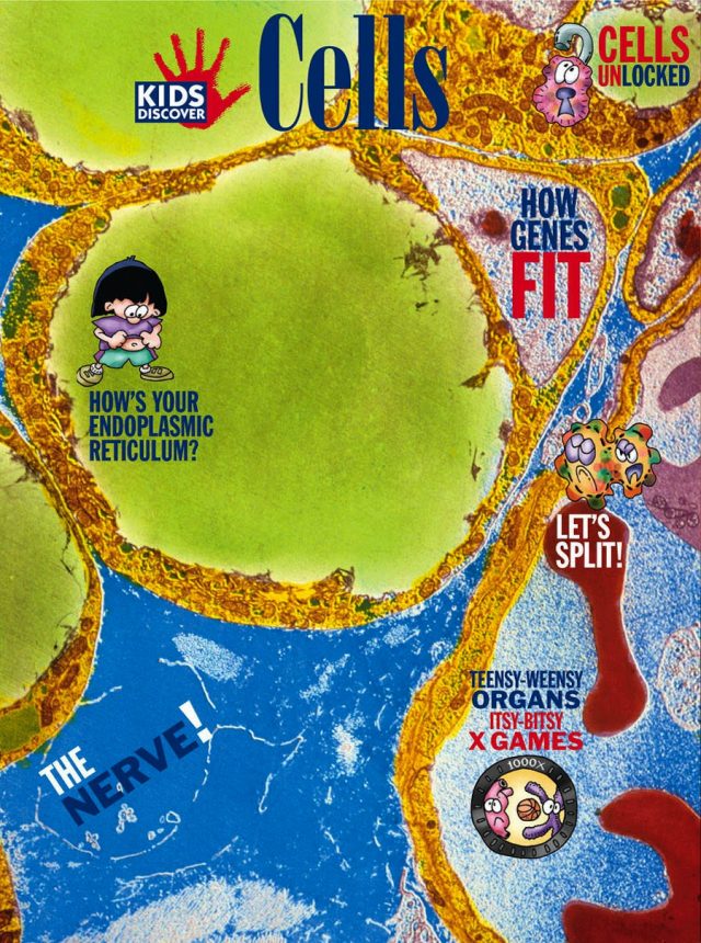 Peek Inside 6 Issues of Kids Discover - Kids Discover
