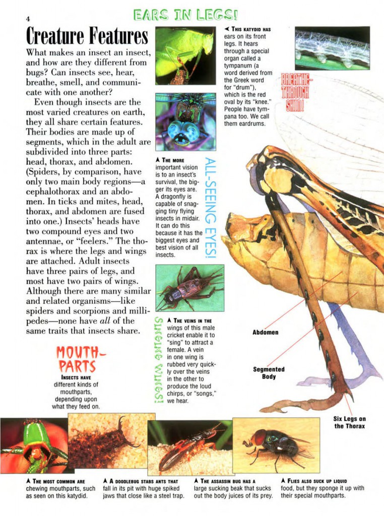 Peek Inside 6 Issues of Kids Discover - Kids Discover