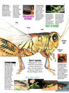 Peek Inside 6 Issues of Kids Discover - Kids Discover