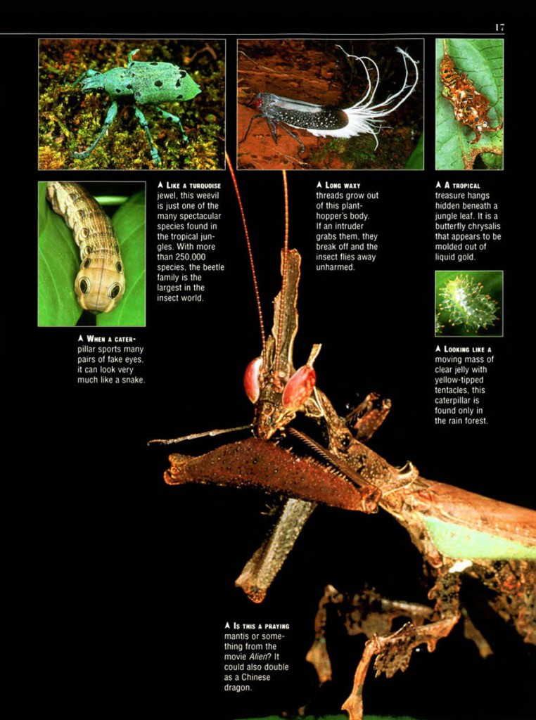 Peek Inside 6 Issues of Kids Discover - Kids Discover