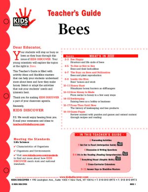 Bees - Kids Discover