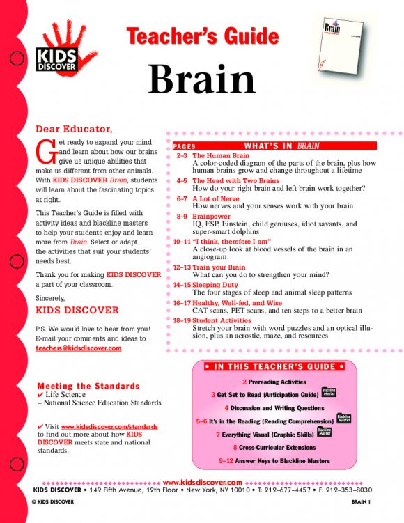 Brain - Kids Discover
