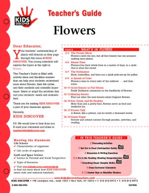 Flowers - Kids Discover