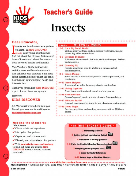 Insects - Kids Discover
