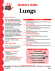 Lungs - Kids Discover