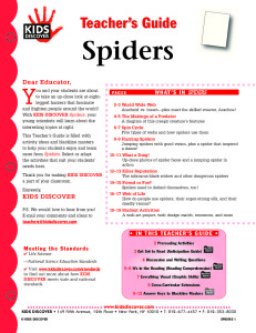 Spiders - Kids Discover