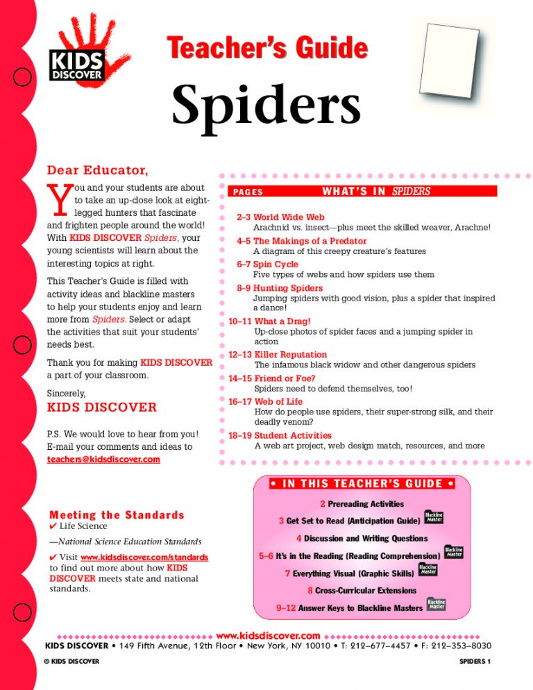 Spiders - Kids Discover