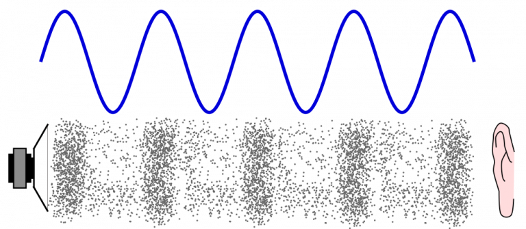 Sound and Vibration - Kids Discover