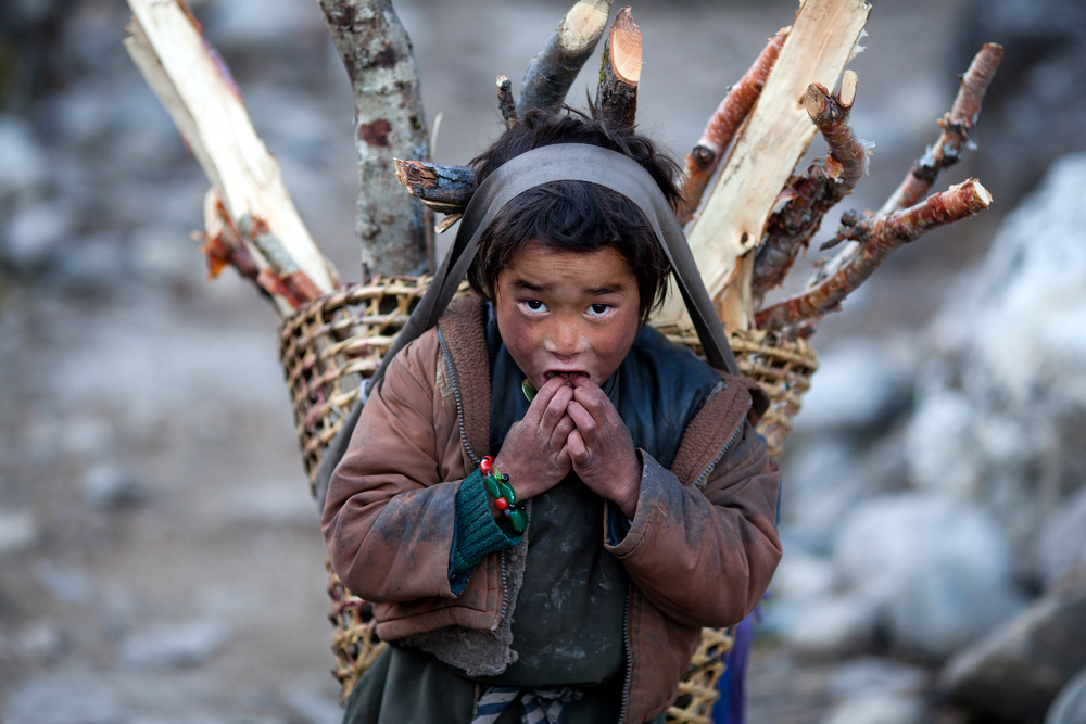 Himalayas - Kids Discover