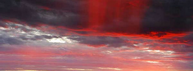 Red Rains: Real and Rare - Kids Discover