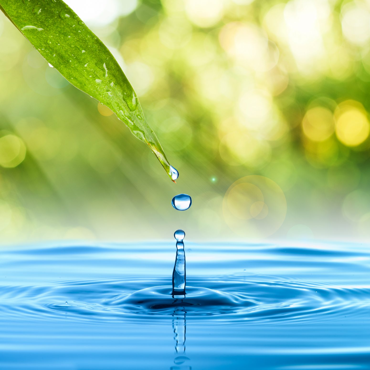 Water Buoyancy, Cohesion & Adhesion - Kids Discover