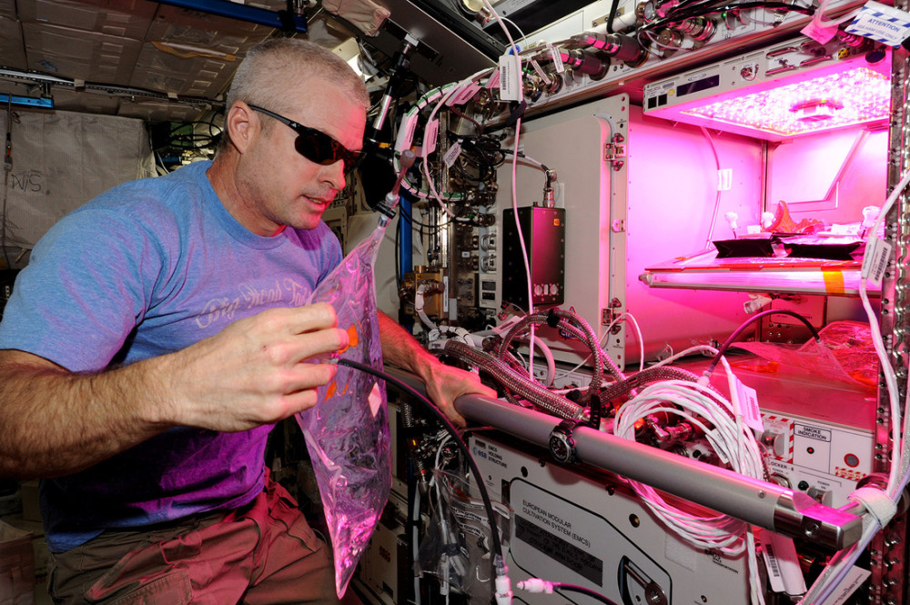 Space Salad - Kids Discover