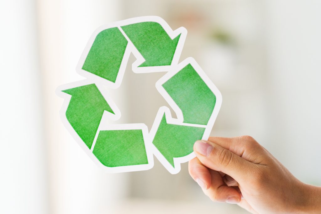 Ecology Games and Activities - Kids Discover