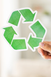 Ecology Games and Activities - Kids Discover