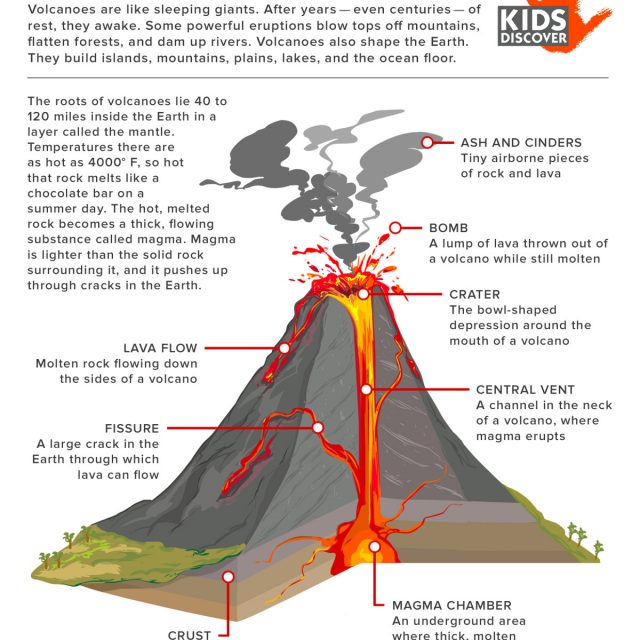 Infopacket: 10 Things Kids Can Do to Help the Earth - Kids Discover