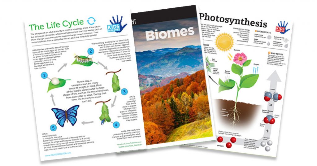 spring-infographics - Kids Discover