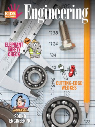 NGSS Engineering Design Set - Kids Discover