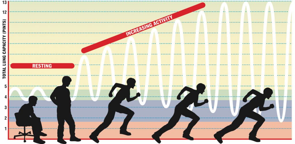 Cross-Curricular Lessons for COVID-19 - Kids Discover