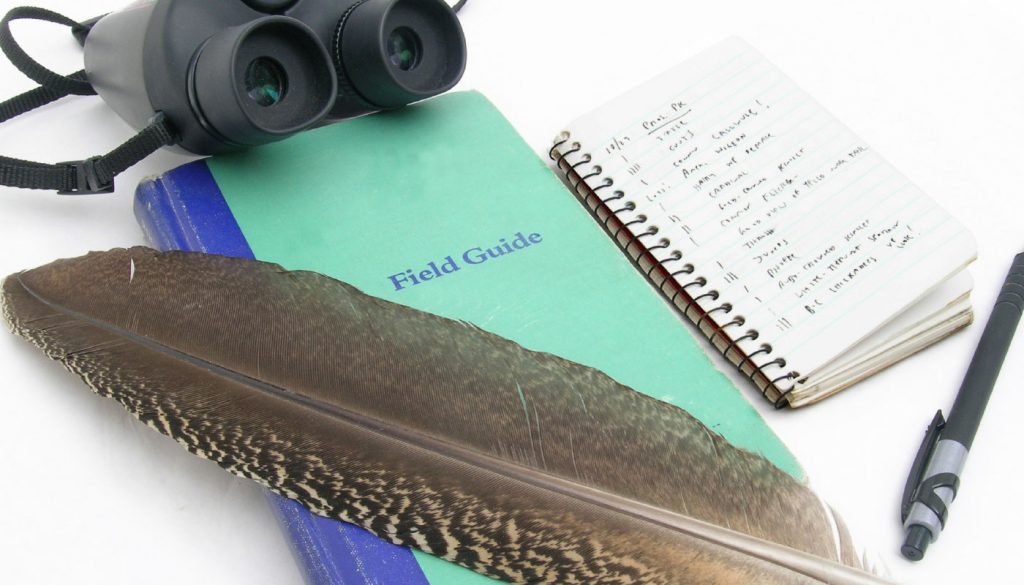 Cross-Curricular Lessons for Spring - Kids Discover