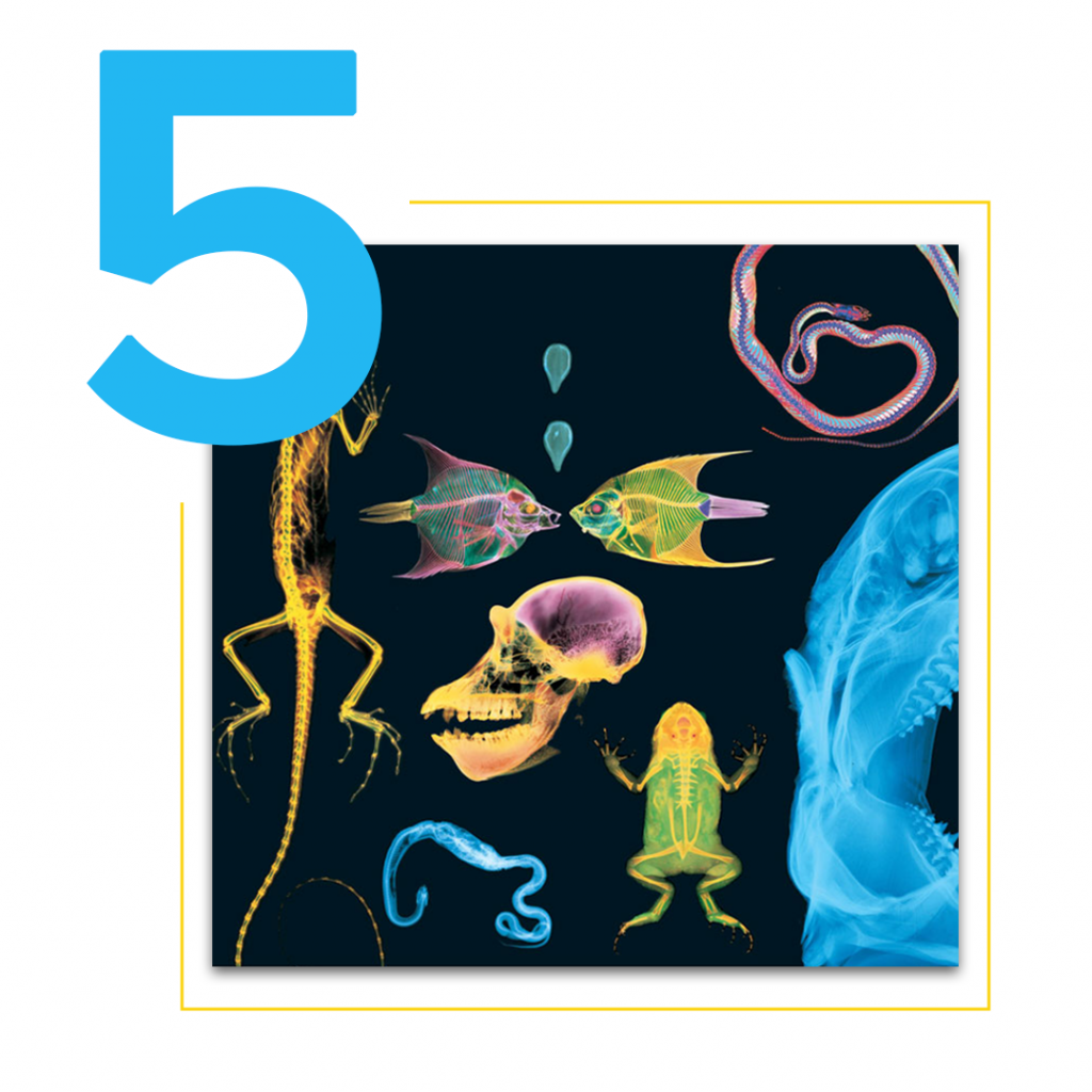 Kids Discover 2023 Top 10 Countdown - Kids Discover